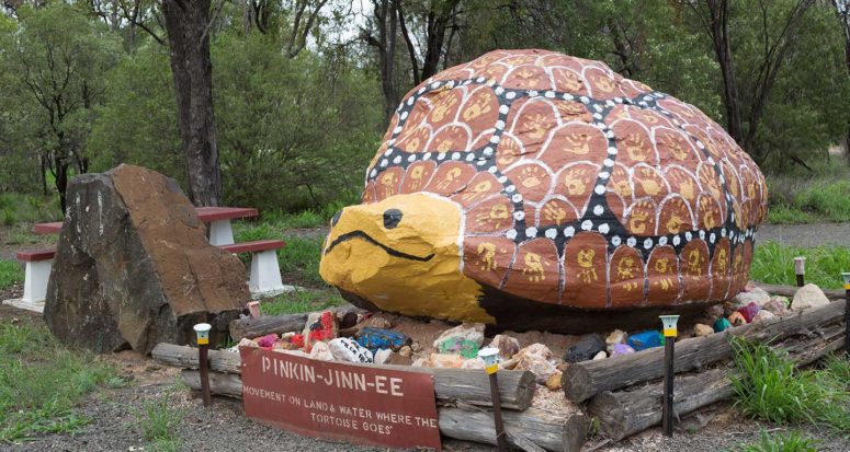 Wallumbilla-Hero- Roma Revealed