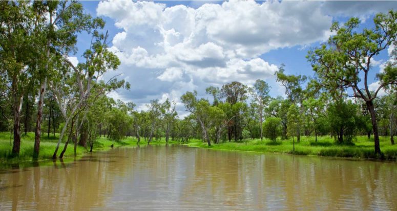 Experience Yuleba Qld | Roma Revealed
