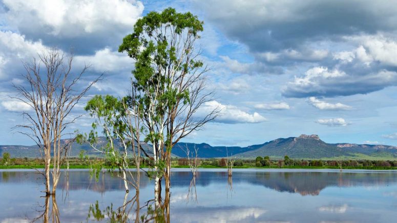Experience Injune Qld | Roma Revealed
