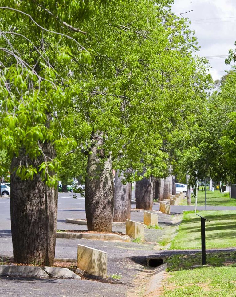 12 things to do in the Roma region - Roma Revealed