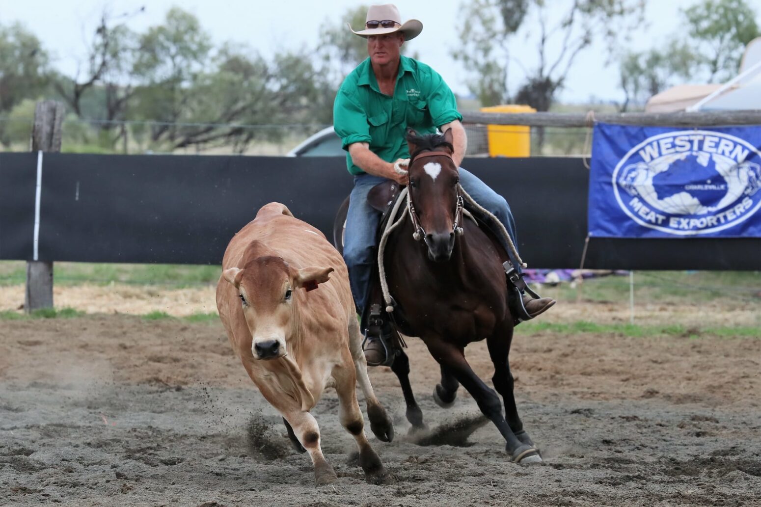Mitchell Campdraft - Roma Revealed