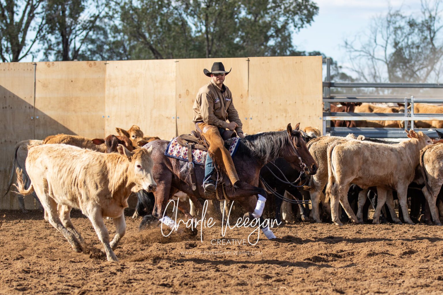 Injune Cutting Club Buckle Series - Roma Revealed